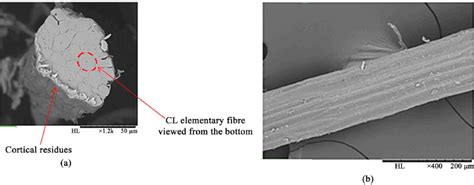 Is The Graph Showing The Variations Of The Youngs Modulus Of The Download Scientific Diagram
