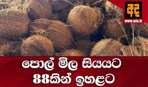 පොල් මිල සියයට 88කින් ඉහළට Ada Online