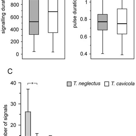 Enlarged Sections Show Abdominal Vibration Left And Whole Body Download Scientific Diagram