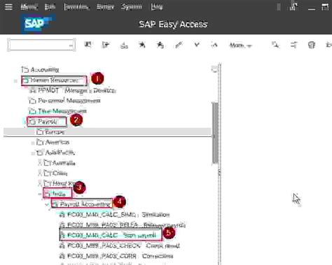 Execute Payroll In SAP HR