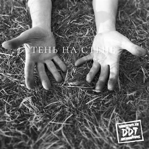 Тень на стене Youtube Music