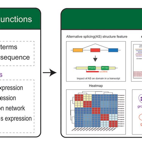 Summary Of Plantexp Contents And Functions Download Scientific Diagram