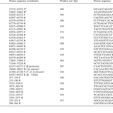 Map Of The Human B Globin Gene And Replication Origin A Solid