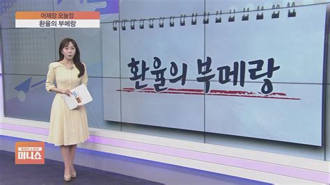 어제장 오늘장 국내증시 되살린 환율 부메랑반도체 공포 이겨냈다 Sbs Biz