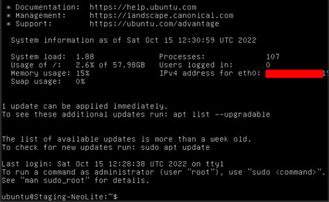 cara menggunakan vps untuk pemula dengan neo lite
