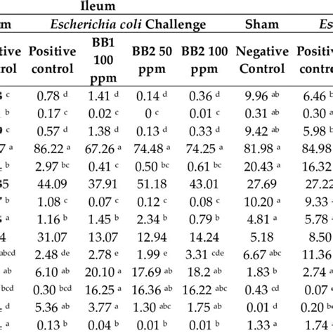 Relative Abundance Of Bacteroidota Firmicutes And Proteobacteria