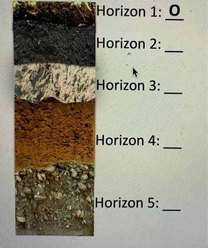 Final Exam Flashcards Quizlet