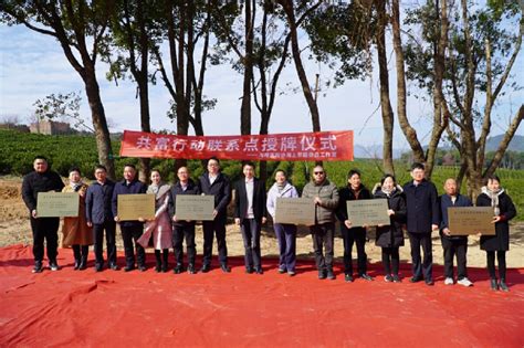海曙区政协海上茶路委员工作室共富行动联系点授牌成立