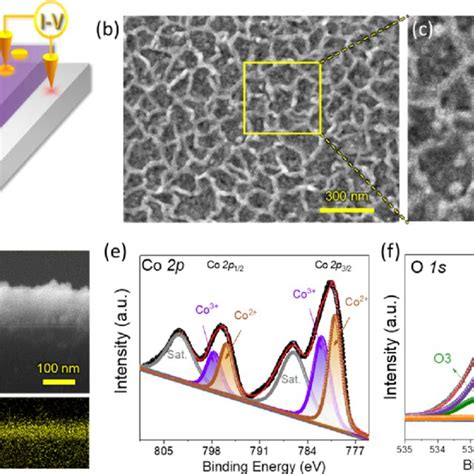 device characterizations a schematic structure of our memristor