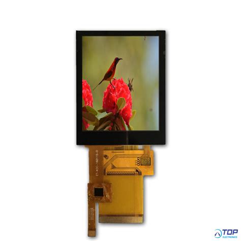 Spi Rgb Ips Ctp Top Electronics