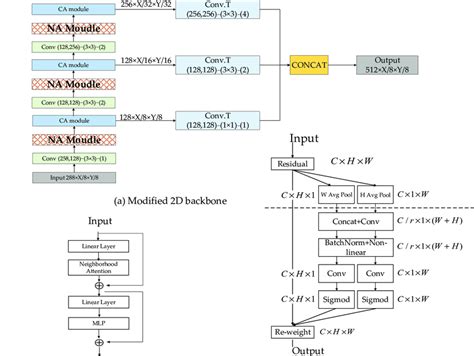 Modified 2d Backbone A The 2d Backbone Where Conv Denotes The Download Scientific Diagram