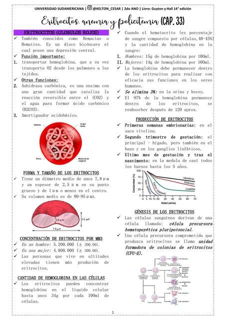 Eritrocitos Anemia Y Policitemia Kelton César Udocz