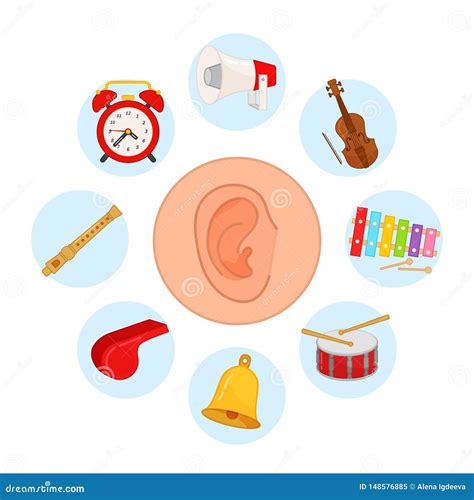 5 Sense Organs Hearing Stock Vector Illustration Of Lobe 148576885