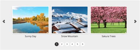 WordPress Carousel Examples WordPress Plugin