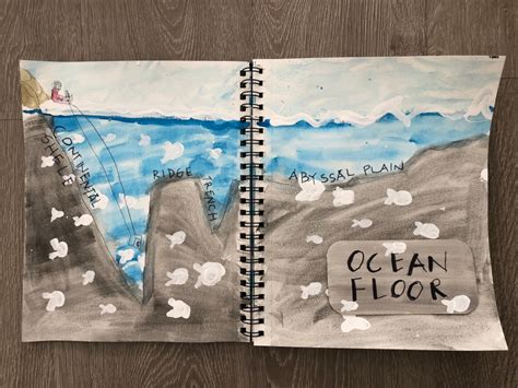 Cc Cycle 1week 18scienceocean Floor