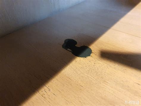 엡손프린터 유지보수박스 교체 ※정품사용권장※ 네이버 블로그