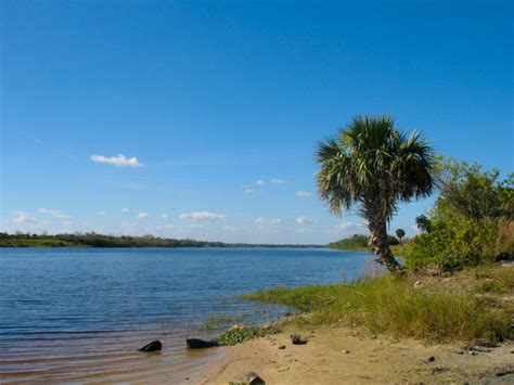 Florida Trail Okee Tantie To Platts Bluff Florida Hikes