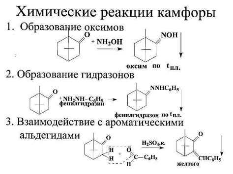 Терпены Терпены-это углеводороды состоящие из двух или