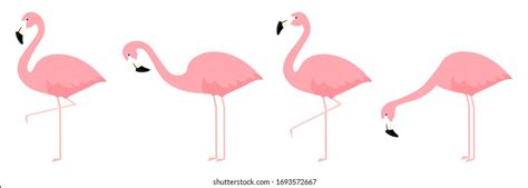 Finny Cartoon Characters Over 116 Royalty Free Licensable Stock