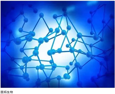 News What Is The Orientation Of The Artificially Customized Peptides