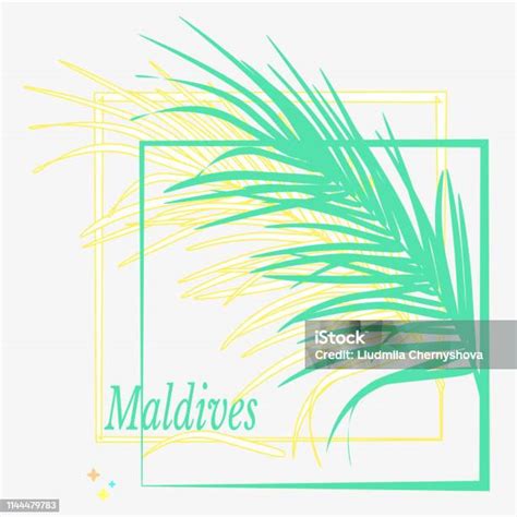 열 대 야자수 잎과 서 예 몰디브 프레임에 타이포 그래피 슬로건 디자인 의류 포스터 여행 회사 카드 커버 및 명함을 위한 벡터