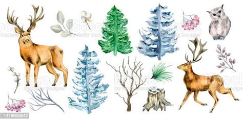 사슴과 숲 식물 수채화 그림의 집합은 흰색 배경에 고립되어 있습니다 12월에 대한 스톡 벡터 아트 및 기타 이미지 12월 가문비나무 개체 그룹 Istock