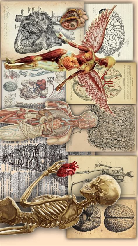 Medical Research Aesthetic Collage Doctor Aesthetic Wallpaper Iphone