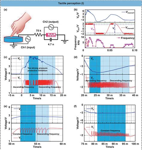 Perception Neuron A Pressure Receptors As Tactile Sensors Are Download Scientific Diagram