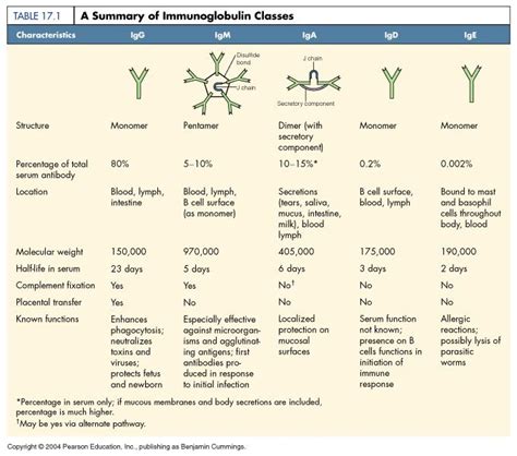 Immunoglobulins Classes Hematology And Inmunology Pinterest Medical Laboratory And Hematology
