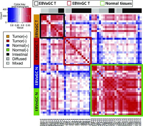 Pearson Sample Correlated Heat Map By Hierarchical Clustering Method
