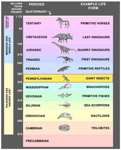 Dinosaur Timeline Prehistoric Insects Solar Energy Shale Gas