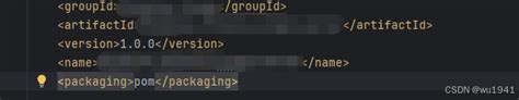 Idea执行maven Clean打包时出现 Error Some Problems Were Encountered While