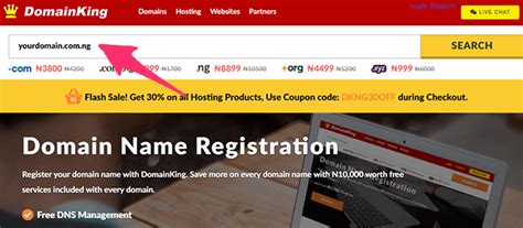 how to register a domain name at domainking ng oasdom