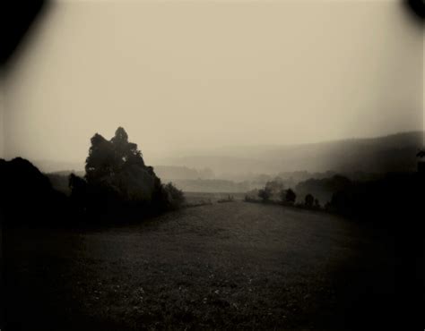 Filling The Frame By Sarah Sido Photo Curious