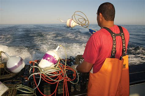 Martha S Vineyard Magazine The Hidden World Of Conch