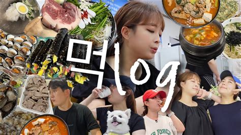 광주맛집로그 다이어트 선언하고 1도 안하는 술먹방브이로그🐷먹방브이로그모둠튀김동태찌개김치찌개백합탕대인야시장수육장터