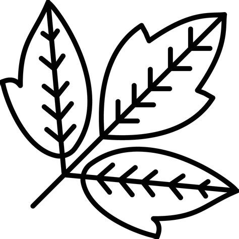 Box Elder Leaf Outline Illustration 45284526 Vector Art At Vecteezy