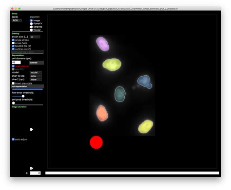 Mask Not Properly Created · Issue 109 · Mouselandcellpose · Github