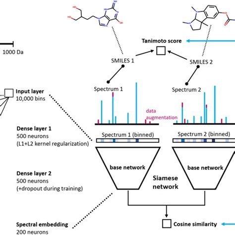 Sketch Of The Siamese Neural Network Architectures And Training Download Scientific Diagram