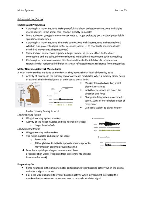 Lecture 13 Primary Motor Cortex Motor Systems Lecture 13 Primary Motor Cortex Corticospinal