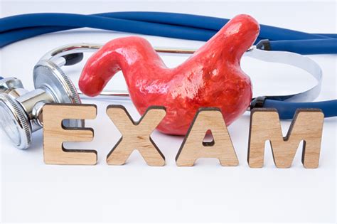 위장과 십이지 장 소장 검사 또는 시험 개념 위 또는 위 청진 기 및 단어 시험 3d 편지의 구성된에 가까운 모양 위장의 의료 연습에 기관 시험 0명에 대한 스톡 사진 및