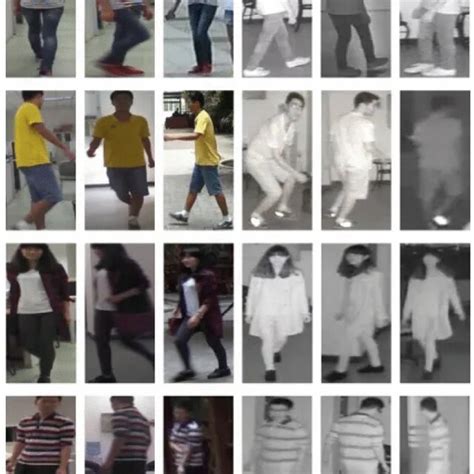 Examples Of Images To Be Processed For Cross Modal Pedestrian Download Scientific Diagram