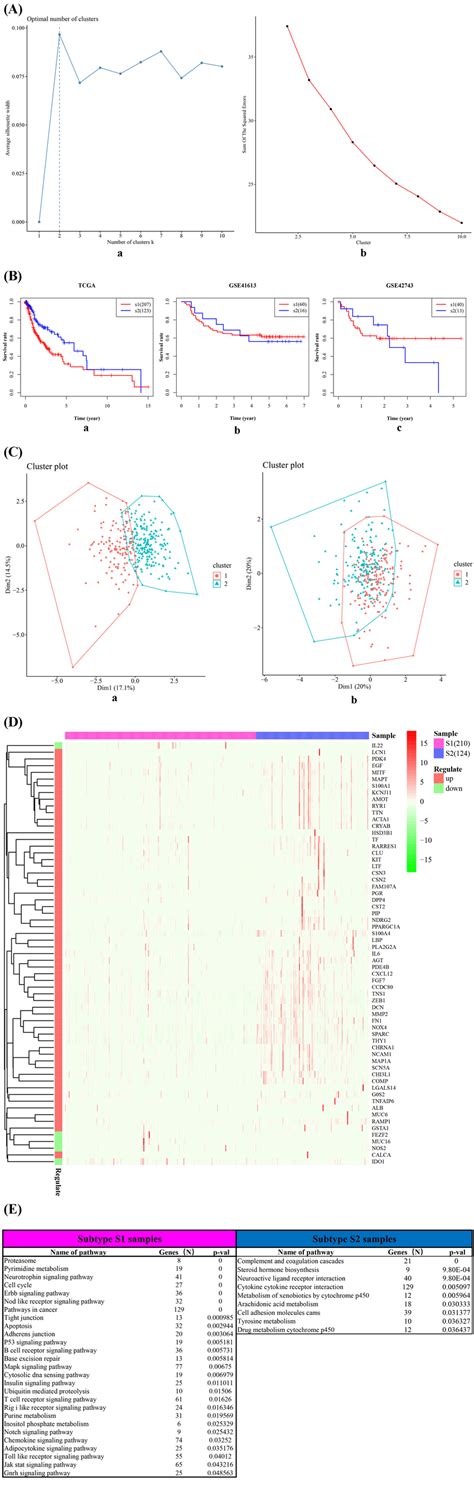 The Two Survival Subtypes Of Oscc Differentiated By Deep Learning Based