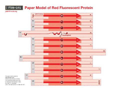 Rfp Color Pdf Cell Biology Scientific Techniques