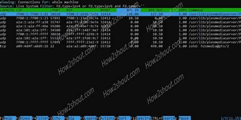 How To Install Sysdig On Linux To Monitor The Load Of System Linuxshout