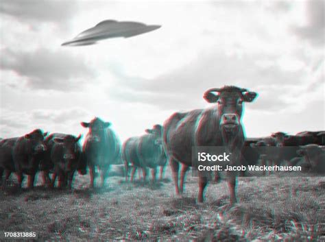 외계인 납치 우주선 Ufo와 함께 판타지 공상 과학 소설 우주 침공을 위한 들판에 있습니다 외계인 여행 비행접시 빔은 발견 탐험 미스터리를 위한 가축 농장에 있습니다 과학에
