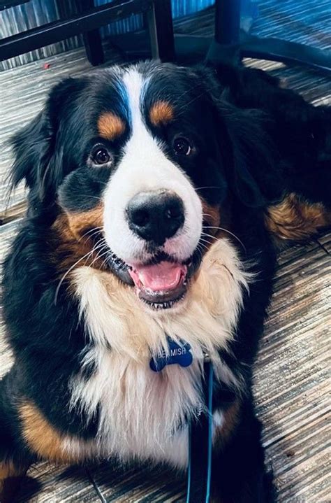 Makethatmove Atyourside Derek Mcgeehan 17 Comments