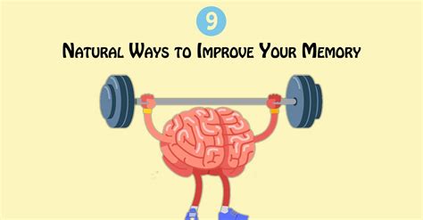 Natural Ways To Improve Your Memory Cook Hook