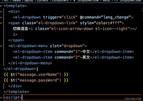 Vue 国际化项目使用处理超详细讲解vue国际化文件使用大全 Csdn博客
