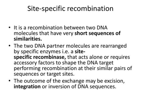 Dna Recombination Basics And Its All Types Pptx Genetics Science
